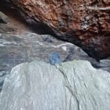 Leatherman Cave and Crane's Lookout Trail, Connecticut - 860 Reviews ...