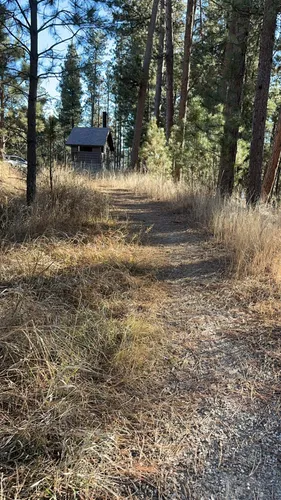 Best Forest Trails in Nemo | AllTrails