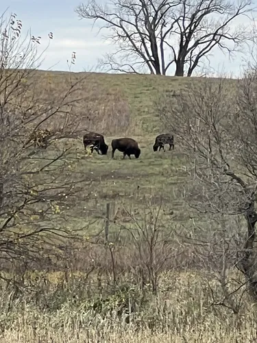 Best Hikes and Trails in Neal Smith National Wildlife Refuge | AllTrails