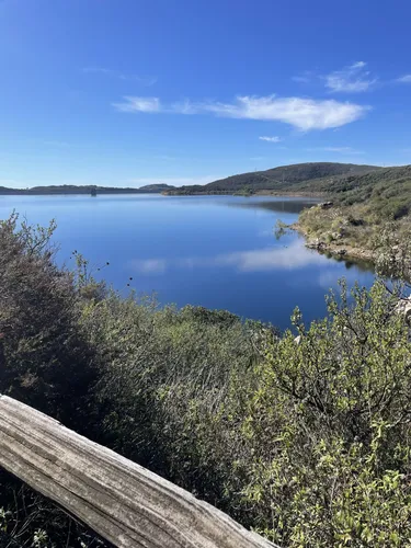 Best Hikes and Trails in Elfin Forest Recreational Reserve | AllTrails