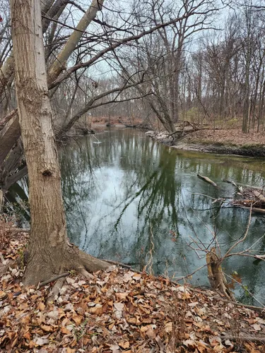 Best Hikes and Trails in Clinton Township | AllTrails