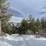 Eagle's View Trail Loop, Colorado - 2,924 Reviews, Map | AllTrails