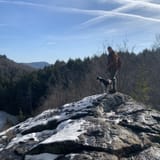 Inman Pond Trail, New York - 321 Reviews, Map | AllTrails