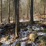 Inman Pond Trail, New York - 321 Reviews, Map | AllTrails