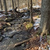 Inman Pond Trail, New York - 321 Reviews, Map | AllTrails