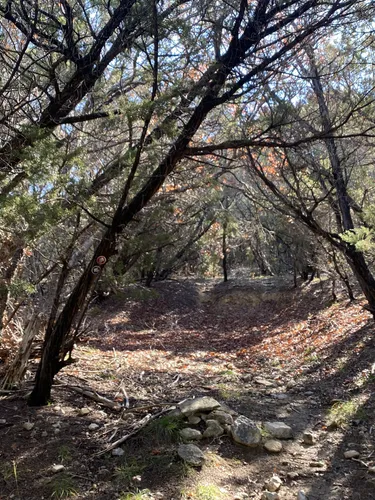 Best Hikes and Trails in Belton Lake Outdoor Recreation Area | AllTrails