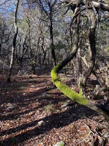 Best Hikes and Trails in Belton Lake Outdoor Recreation Area | AllTrails