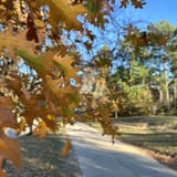 Green Ridge Trail, Texas - 1,055 Reviews, Map | AllTrails