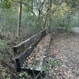 Green Ridge Trail, Texas - 1,055 Reviews, Map | AllTrails