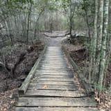 Green Ridge Trail, Texas - 1,055 Reviews, Map | AllTrails