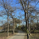 Green Ridge Trail, Texas - 1,055 Reviews, Map | AllTrails