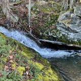Zoar Trail, Connecticut - 2,045 Reviews, Map | AllTrails