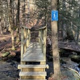 Zoar Trail, Connecticut - 2,045 Reviews, Map | AllTrails