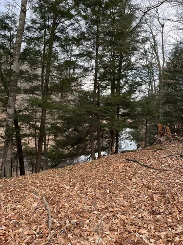 Best Hikes and Trails in Ronald Warner Sanctuary | AllTrails