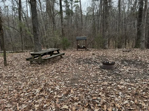 Best Hikes and Trails in Harbison State Forest | AllTrails