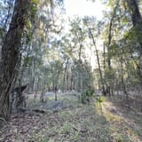 Altamaha Town Heritage Preserve, South Carolina - 33 Reviews, Map ...