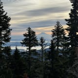 Mount Ellinor Trail, Washington - 2,603 Reviews, Map | AllTrails