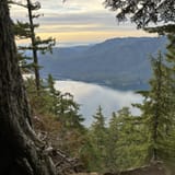 Mount Ellinor Trail, Washington - 2,603 Reviews, Map | AllTrails