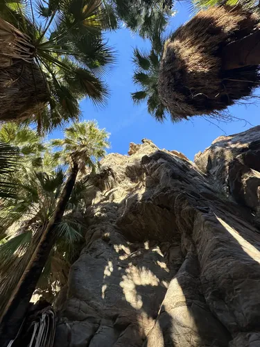 Best Hikes and Trails in Cahuilla Native American Land - Indian Canyons ...