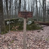 Morrison Loop Trail, Pennsylvania - 338 Reviews, Map | AllTrails