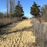 Sandy Hook Multi-Use Trail, New Jersey - 947 Reviews, Map | AllTrails