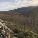 Wolf Rocks Trail, Pennsylvania - 1,271 Reviews, Map | AllTrails