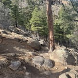 Fatmans Loop Trail, Arizona - 4,936 Reviews, Map | AllTrails