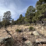 Fatmans Loop Trail, Arizona - 4,936 Reviews, Map | AllTrails