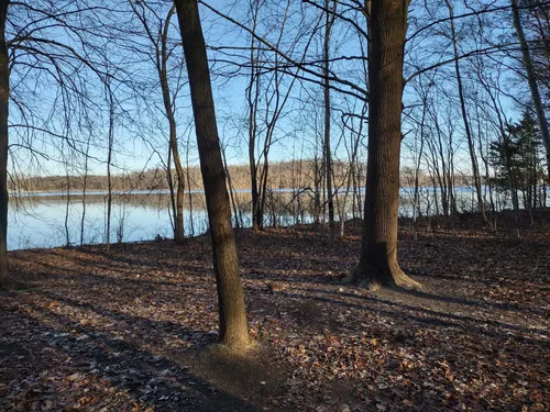 Best Bird Watching Trails in Gregory | AllTrails