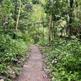 Angelito Trail, East Region, Puerto Rico - 571 Reviews, Map | AllTrails