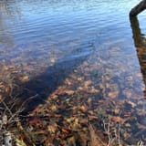 Splitrock Reservoir Trail, New Jersey - 600 Reviews, Map | AllTrails