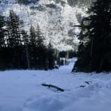 Annette Lake Trail, Washington - 5,524 Reviews, Map | AllTrails