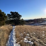 Colorow Mountain Forest and Meadow Loop Trail, Colorado - 577 Reviews ...