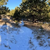 Colorow Mountain Forest and Meadow Loop Trail, Colorado - 577 Reviews ...