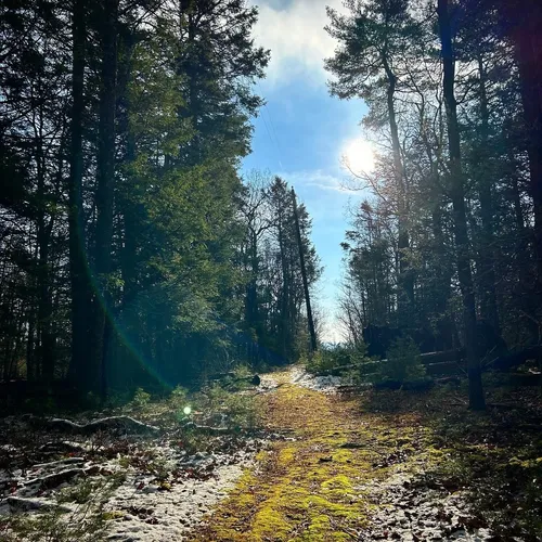 Best Hikes and Trails in Milanville | AllTrails