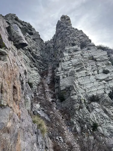 Best Hikes and Trails in Four Peaks Wilderness | AllTrails