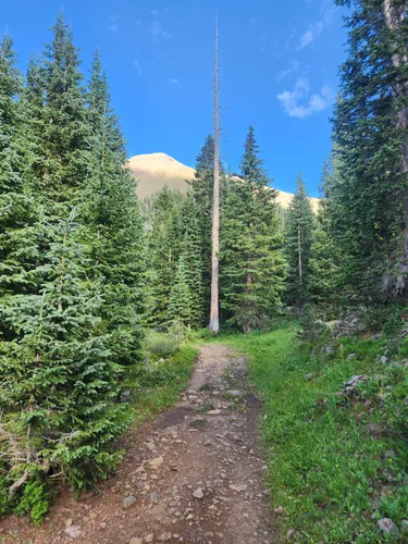 Best Backpacking Trails in State Forest State Park | AllTrails