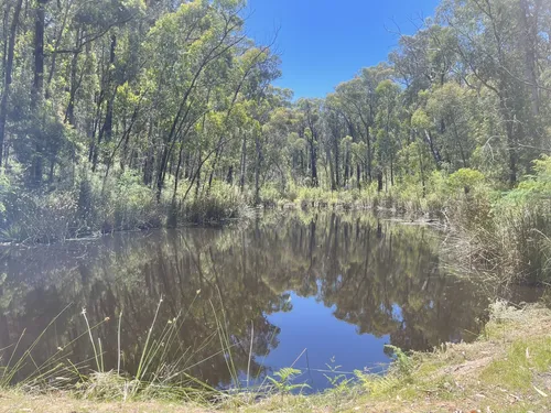 10 Best Hikes and Trails in Bunyip State Park | AllTrails