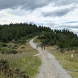Christchurch Adventure Park Walking Track, Canterbury, New Zealand ...