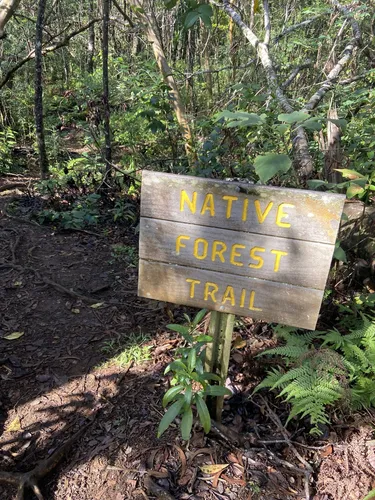 Best Hikes and Trails in Kalopa State Recreation Area | AllTrails