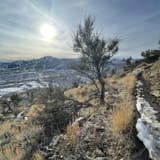 Skyridge Peak Trail, Utah - 342 Reviews, Map | AllTrails