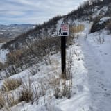 Skyridge Peak Trail, Utah - 342 Reviews, Map | AllTrails