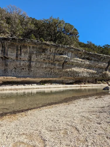 Best Bird Watching Trails in Spring Branch | AllTrails