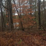 Iron Hill Loop, Georgia - 4,632 Reviews, Map | AllTrails