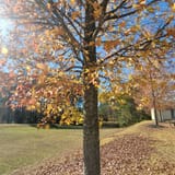 KSU Walking Path, Georgia - 61 Reviews, Map | AllTrails