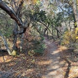 Cedar Ridge Outer Loop, Texas - 1,953 Reviews, Map | AllTrails