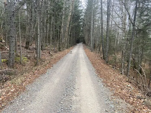 Best Lake Trails in Utopia | AllTrails