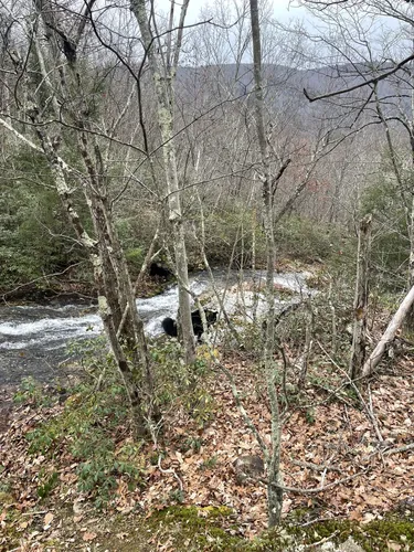 Best 10 Hiking Trails in Tekoa Mountain Wildlife Management Area ...