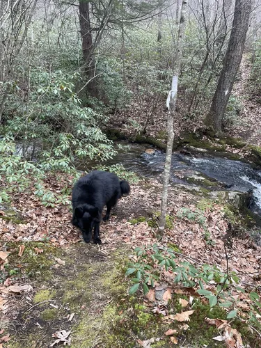 Best 10 Hiking Trails in Tekoa Mountain Wildlife Management Area ...