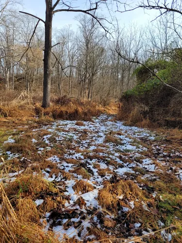 Best Hikes and Trails in Bear Branch Nature Center | AllTrails